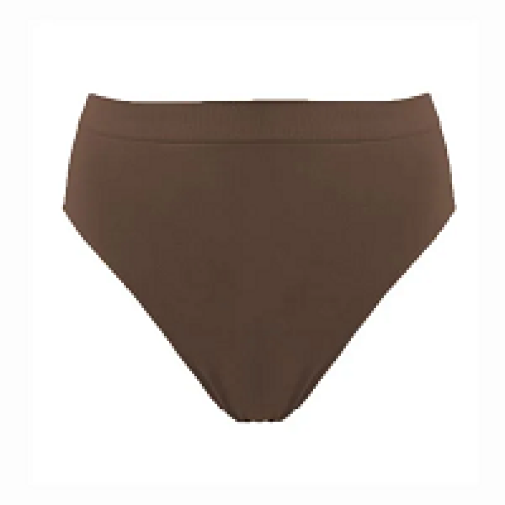 Silky Dance Seamless High Cut Brief – Newcastle Dance Centre