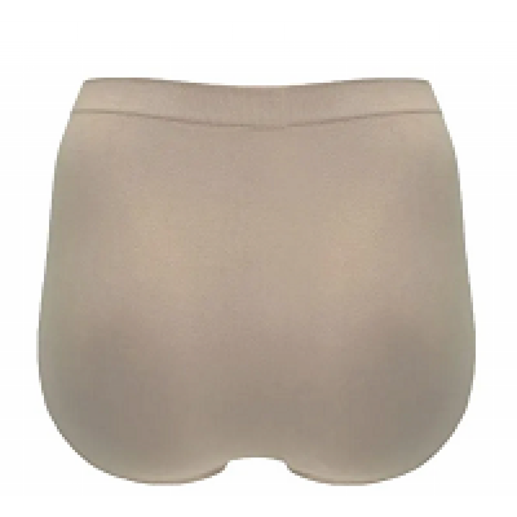 Silky Dance Seamless High Cut Brief – Newcastle Dance Centre